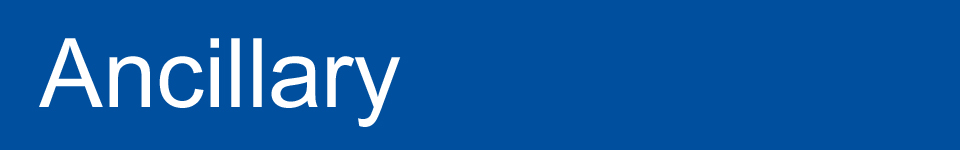 Ancillary - H Bowers